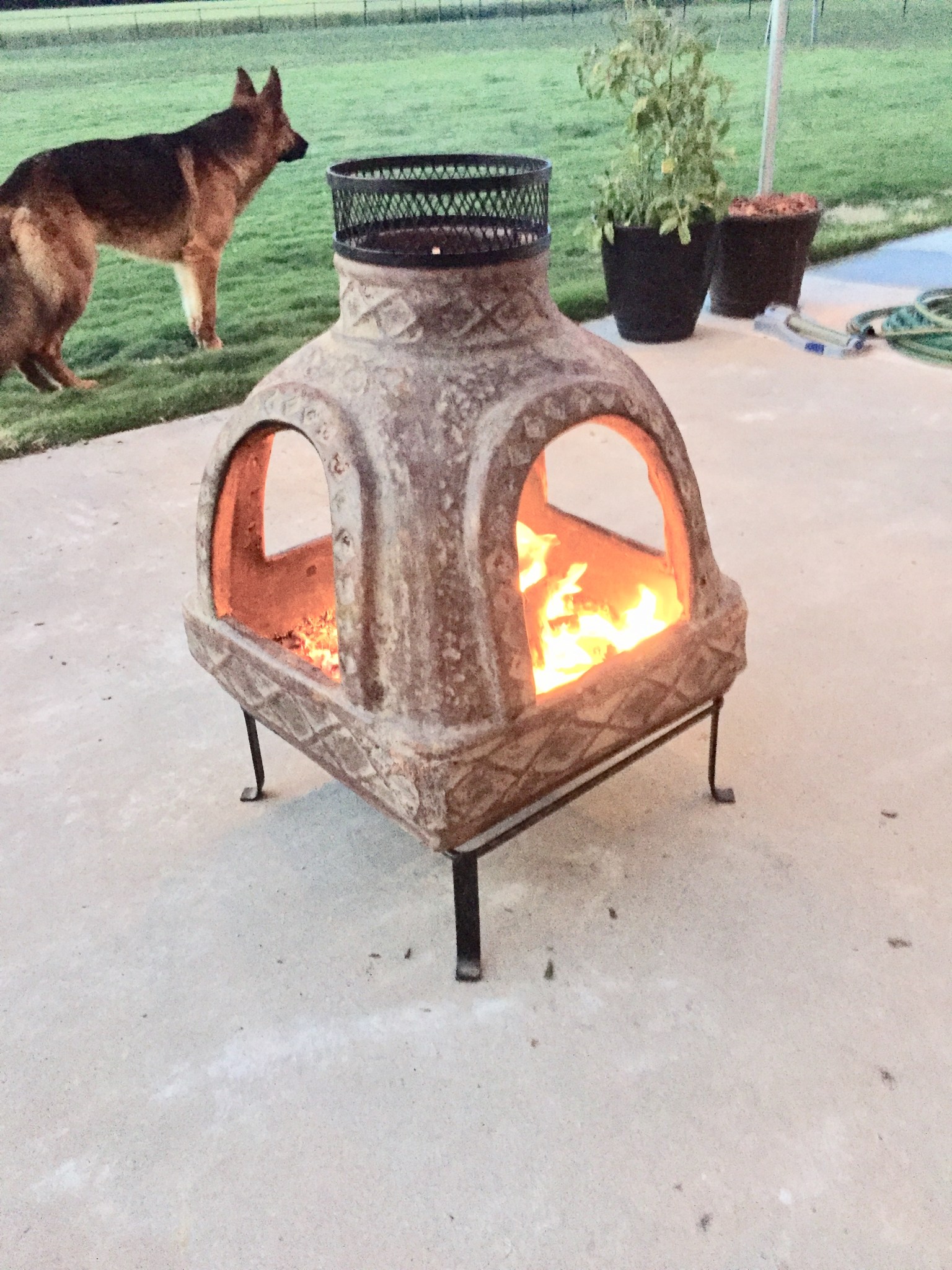 Rust Proofing Metal – Thrifty Mom's DIY