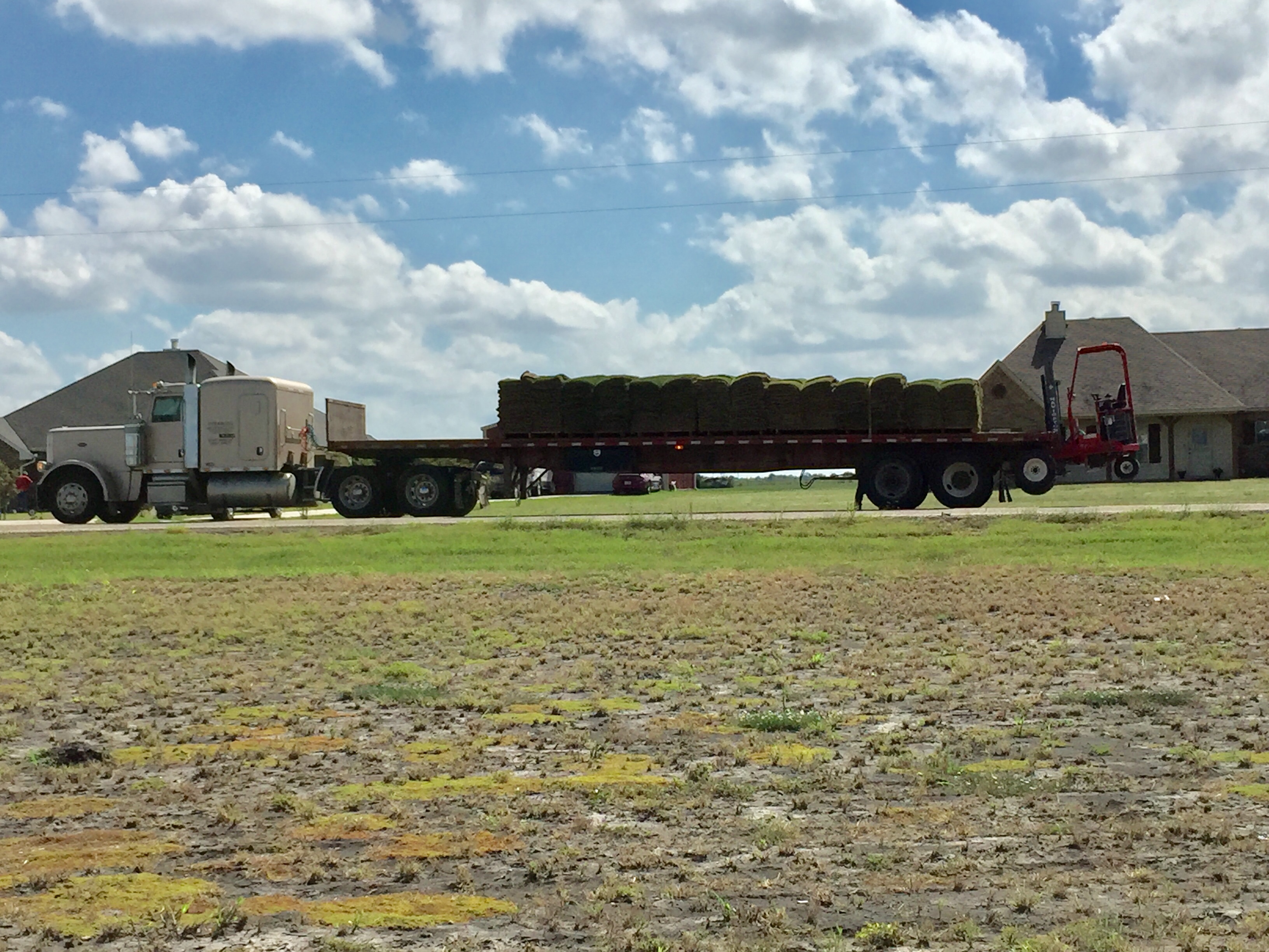 How to Put Down Grass Sod – Thrifty Mom's DIY